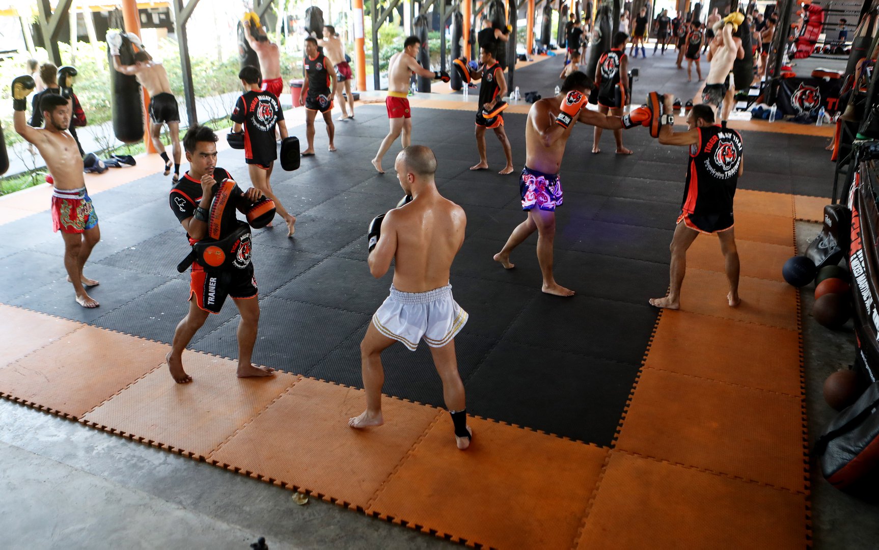 Tiger Muay Thai & MMA Training Camp - Phuket Tourist Association