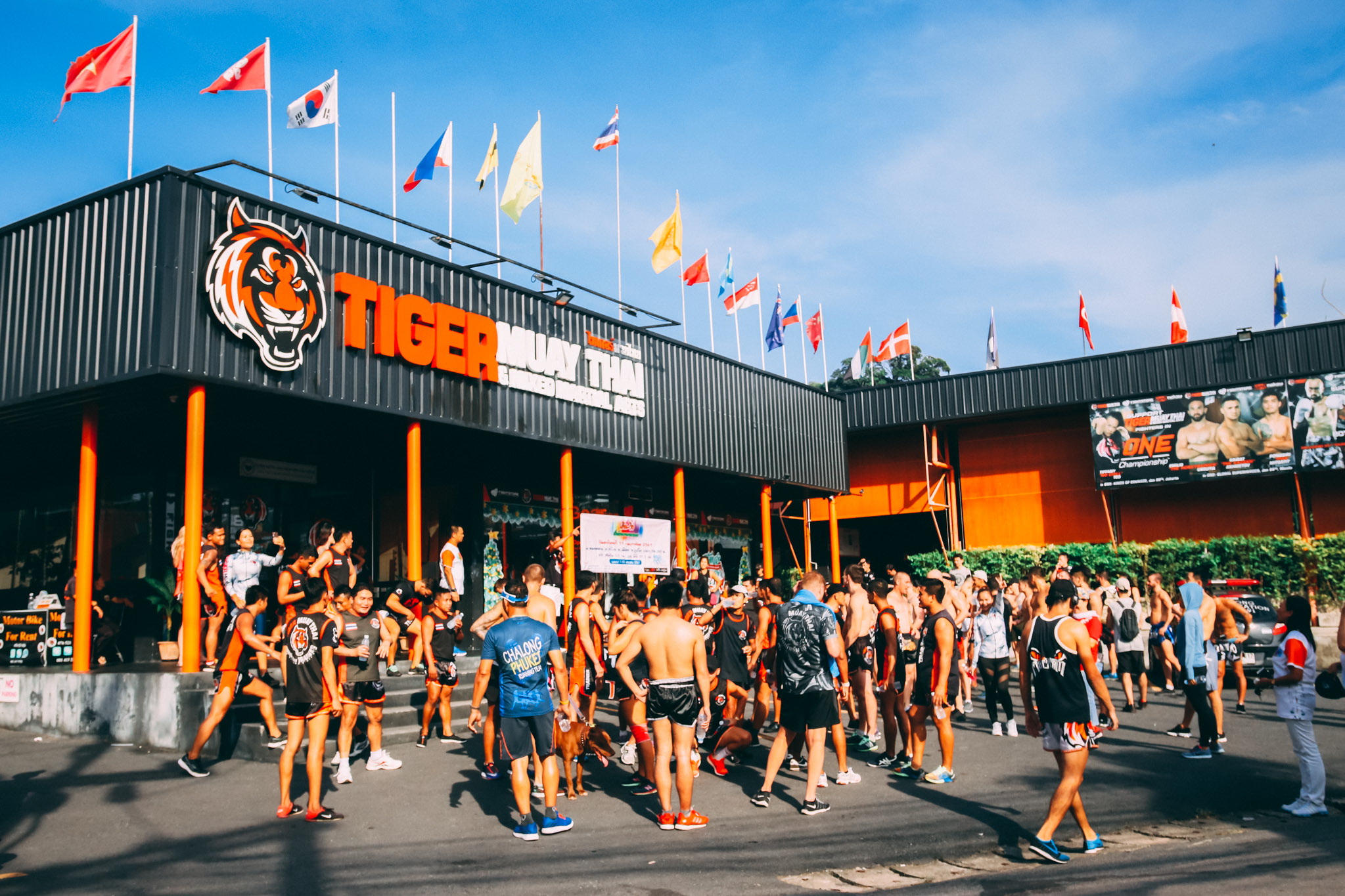 Tiger Muay Thai & MMA Training Camp - Phuket Tourist Association